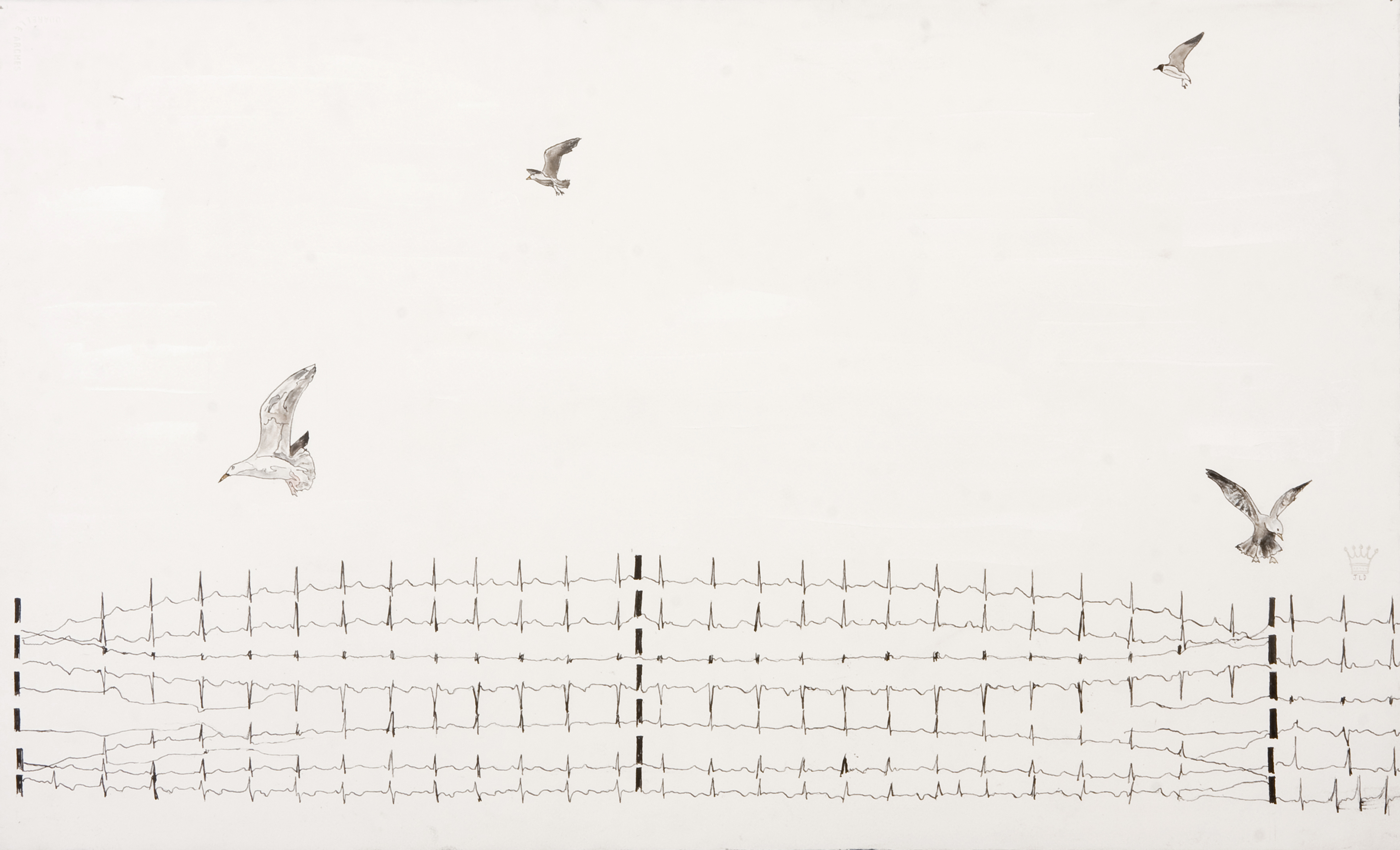 Artwork. – JOSHUA REX